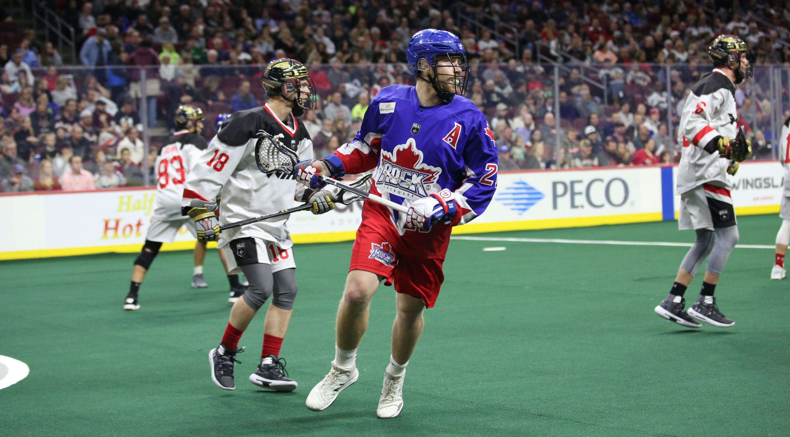 Rock Comeback To Beat Wings - Toronto Rock