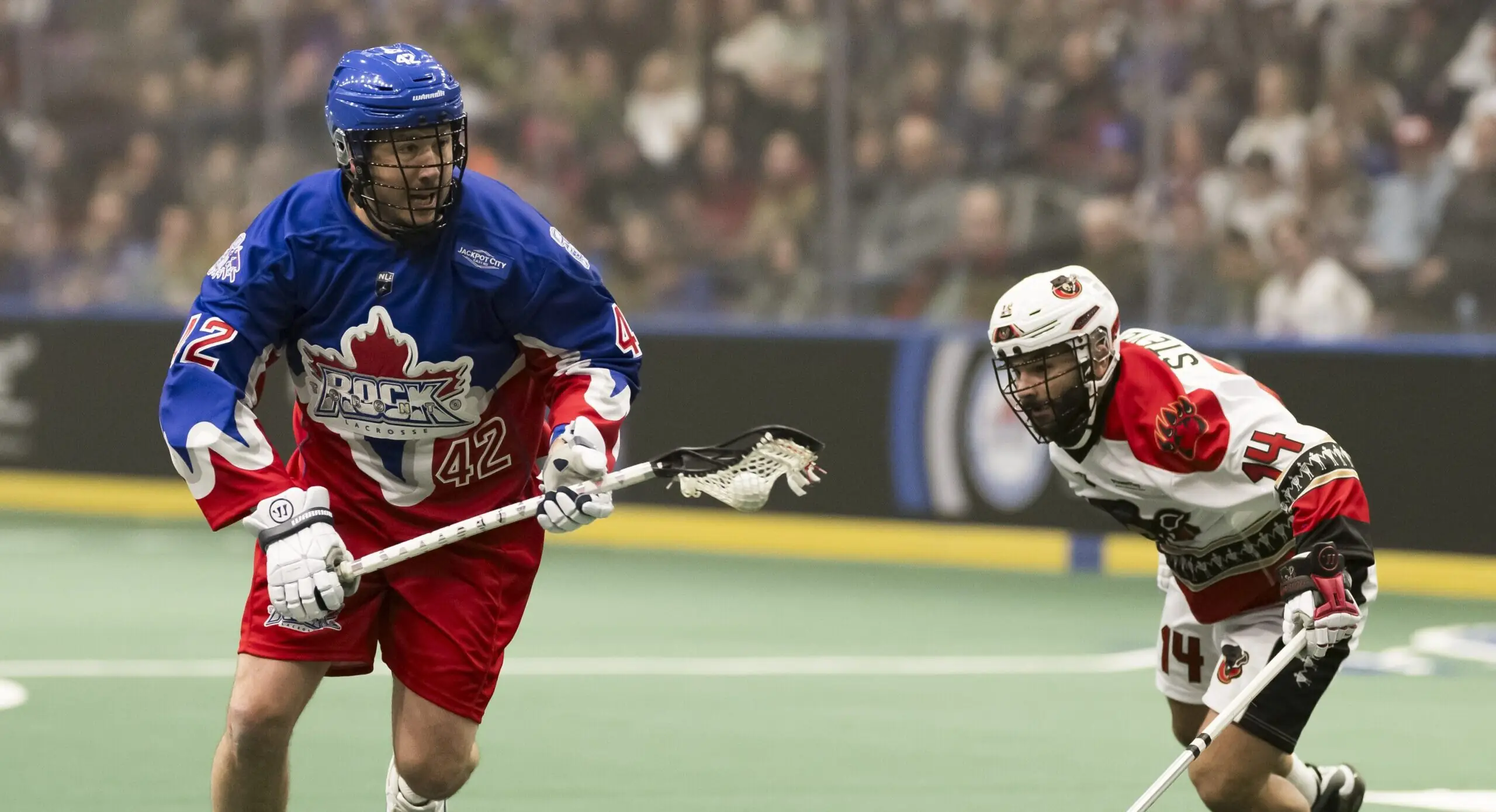 Mark Matthews Will Undergo Season Ending Shoulder Surgery - Toronto Rock